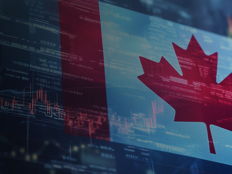 Insights | RSM Canada